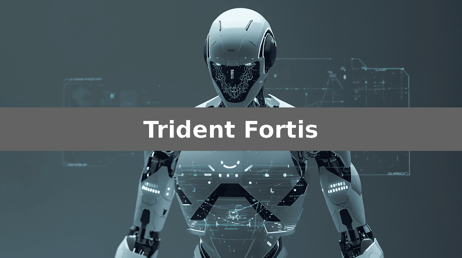 Trident Fortis Review: Trusted Trading System or Fraud? Results Exposed
